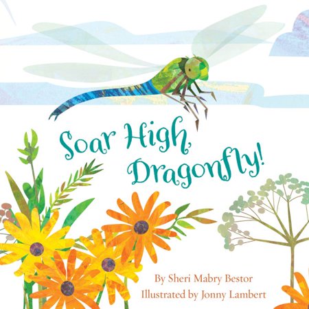 Picture Book Review: Soar High, Dragonfly! by Sheri Mabry Bestor - Only ...